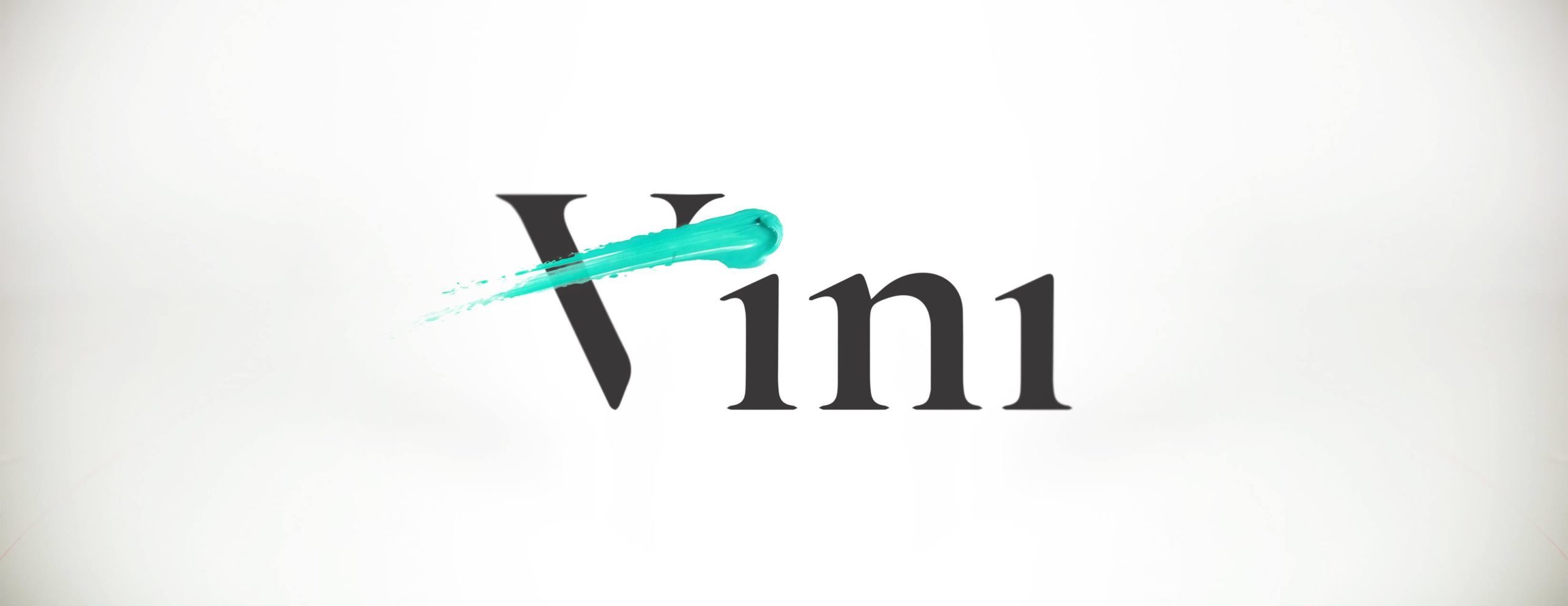 Les Packs Graphiques et Sites Web - Vini Adam - Graphiste Logo Site web